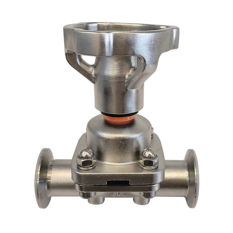 Stainless Steel Sanitary Fluorine Lined Diaphragm Valve from China ...